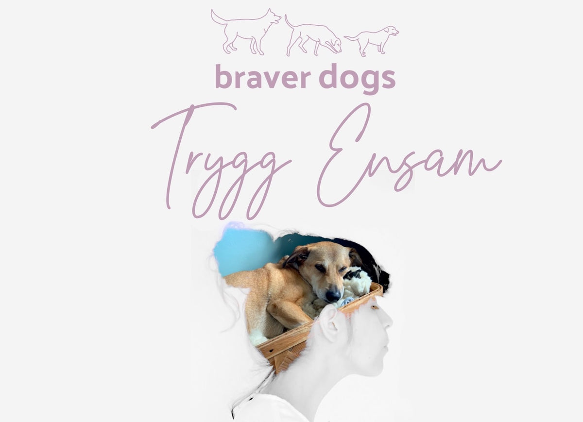 Trygg Ensam Självstudiekurs – Braver Dogs